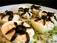 Recetas.net. receta de Plaga de arañas