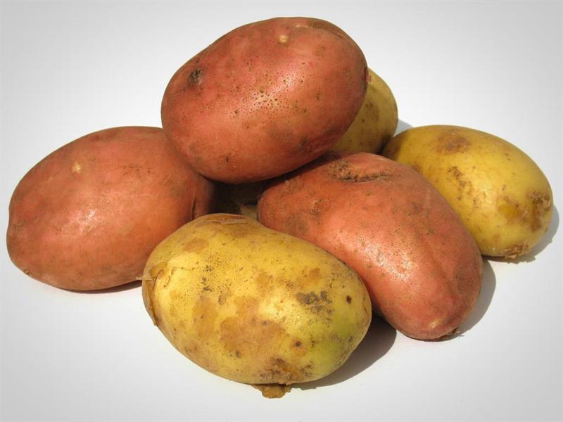 Un básico en tu cocina, la patata